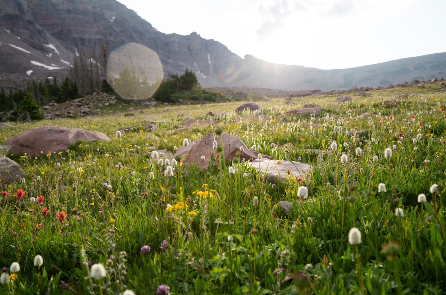 18 Best Places to Visit in June USA (2026): Epic Summer Kickoff Spots ...